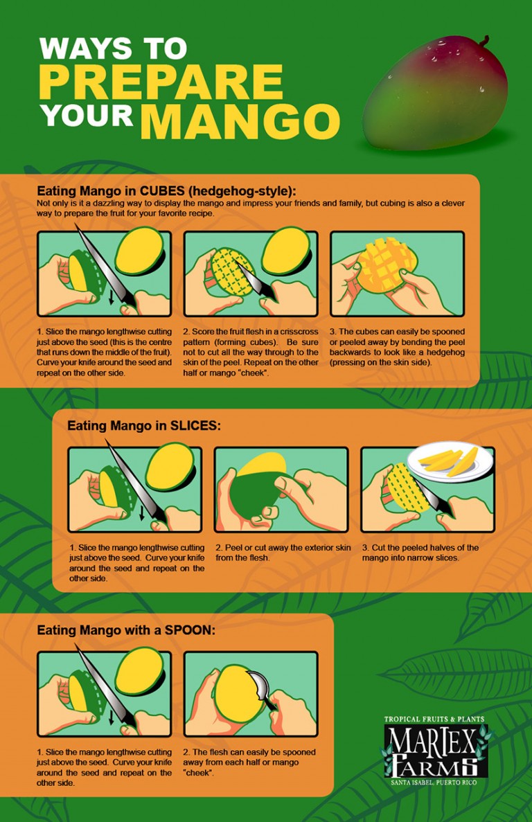 Our Mangos - Martex Farms